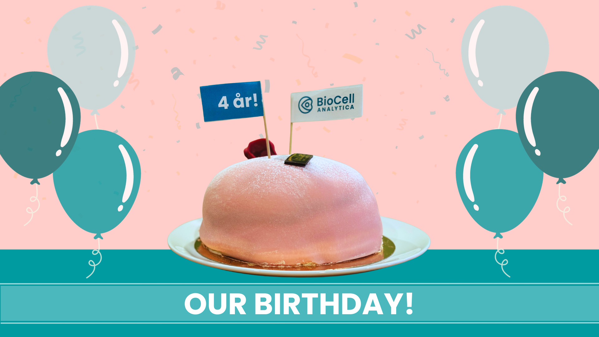 A new week, a new birthday - 4 years! - Biocell Analytica